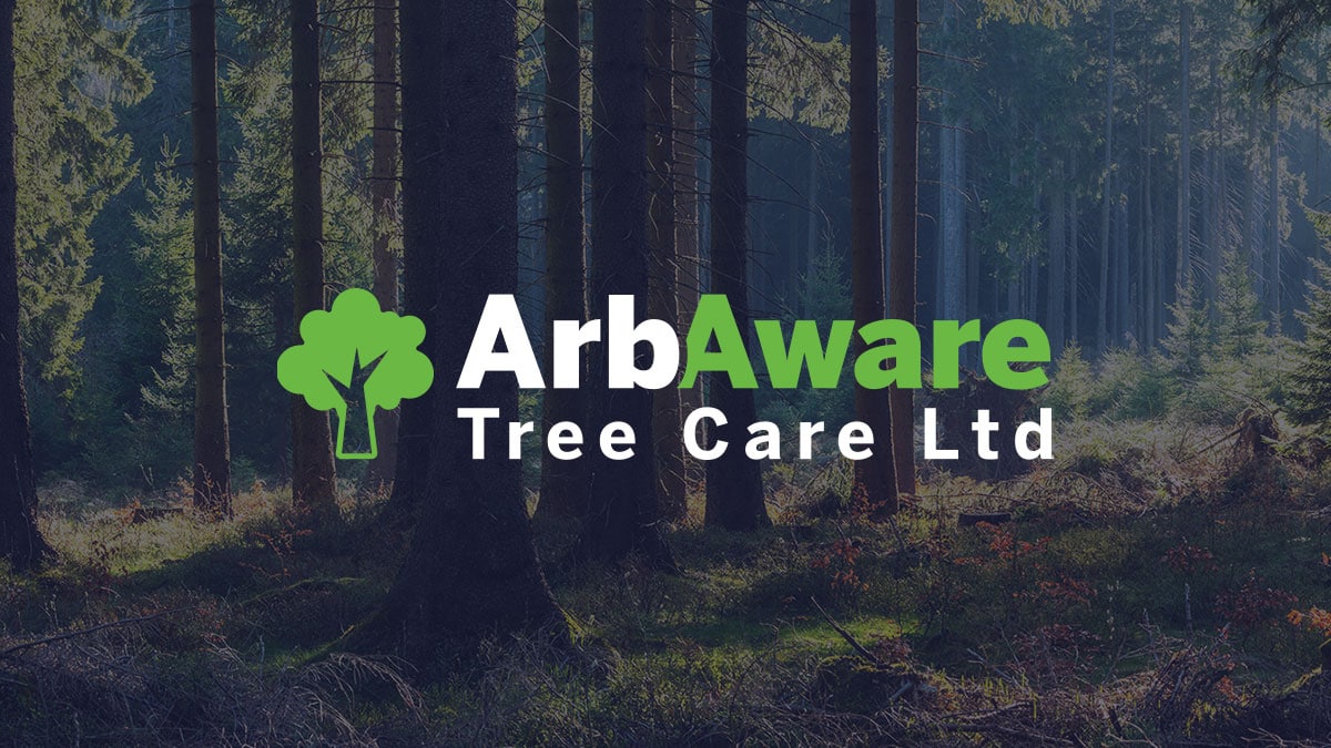 ArbAware Tree Care | Arboricultural & Forestry Experts